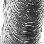 HAIR & BEAUTY – Page 9 – ADRIANA SASSOON